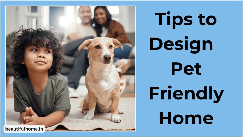 9 Tips to Design a Pet-Friendly Home: Both Stylish and Pet comfy ...